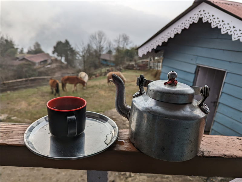 Goechala Trek - Trekking In Sikkim | Premium Small-Group Customized ...